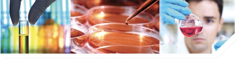 Group of company – DG-Packaging